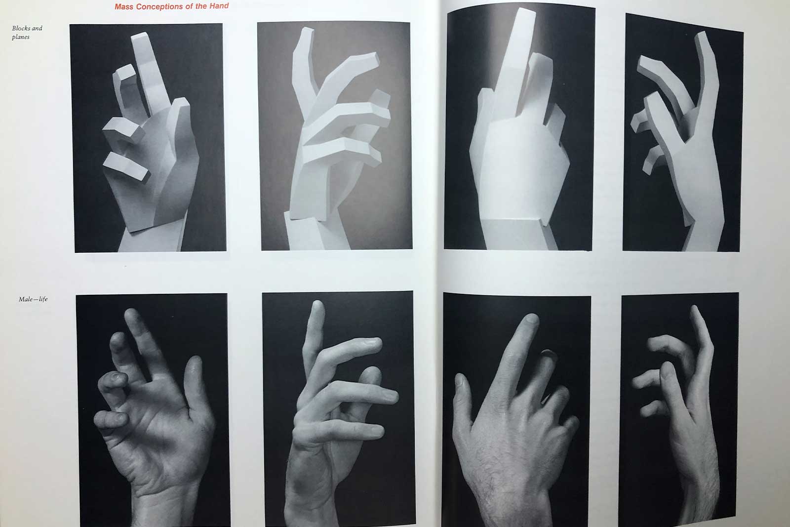 Human Anatomy For Artists Human Anatomy For Artists